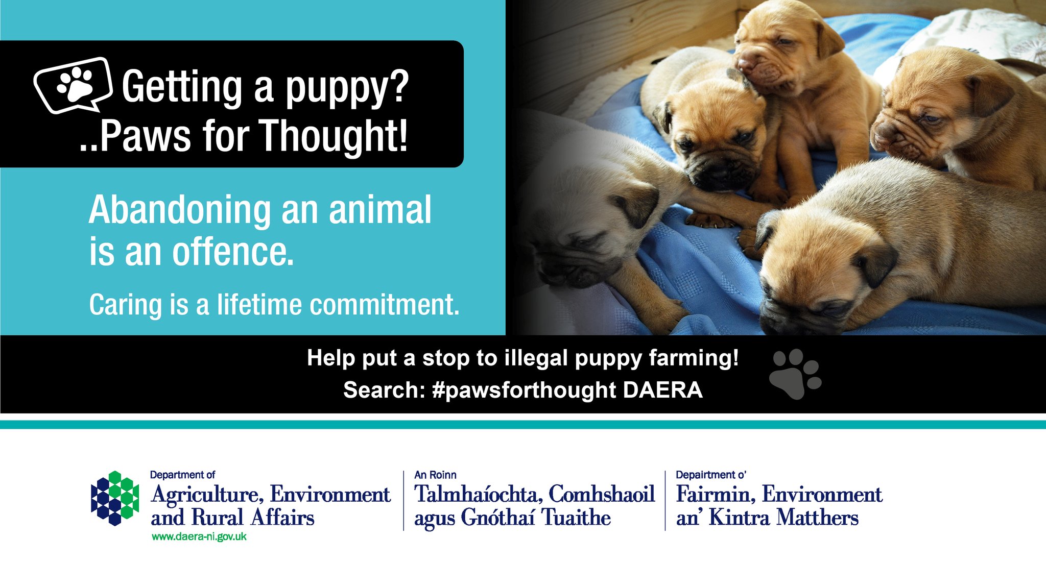 The Serious Consequences of Animal Abandonment: What Every Pet…