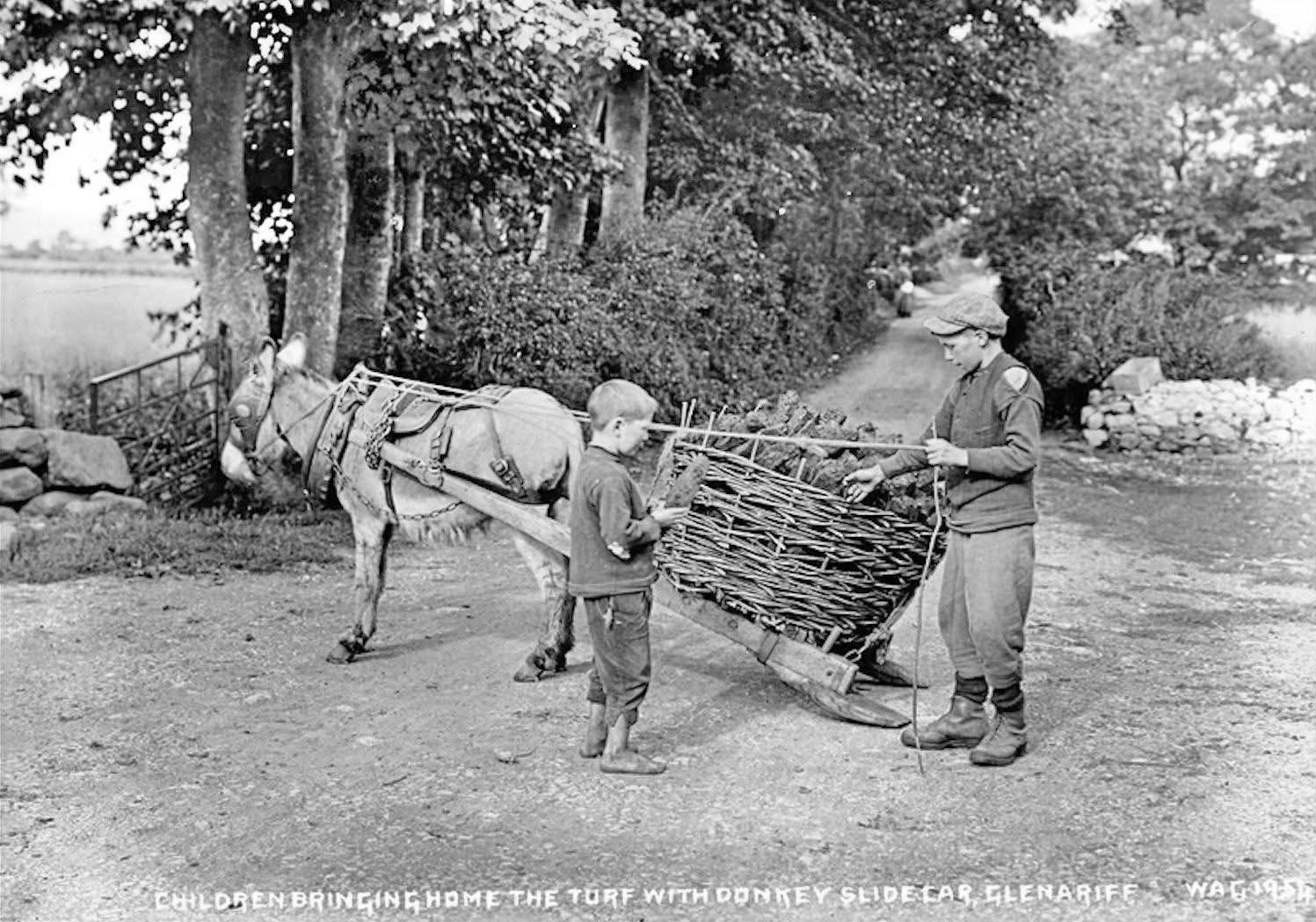 Children Bringing Home the Turf – A Glimpse into Rural Life in…